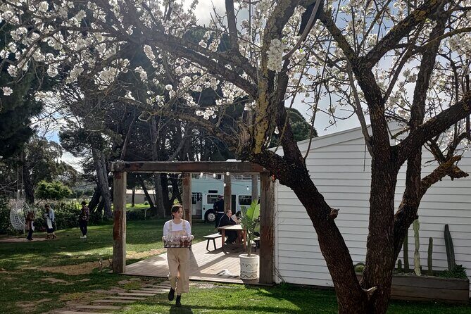 McLaren Vale Full Day Tour - Itinerary Breakdown: What to Expect
