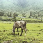 Mechuka Adventure Road Trip - Practical Insights: What to Expect