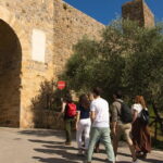 Medieval Tour in Monteriggioni and Val d'Orcia from Florence - Who It’s Best For