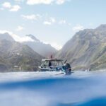 Meet the giants of the seas Semi-private whale trip - The Sum Up: Who Should Consider This Tour?
