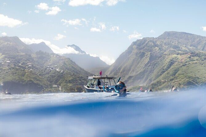 Meet the giants of the seas Semi-private whale trip - The Sum Up: Who Should Consider This Tour?