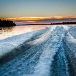 Meet The Seals Boat Tour - Travel by boat to a Secret Seal Cove - The Experience: What Sets It Apart