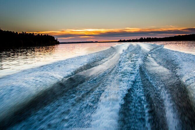 Meet The Seals Boat Tour - Travel by boat to a Secret Seal Cove - The Experience: What Sets It Apart