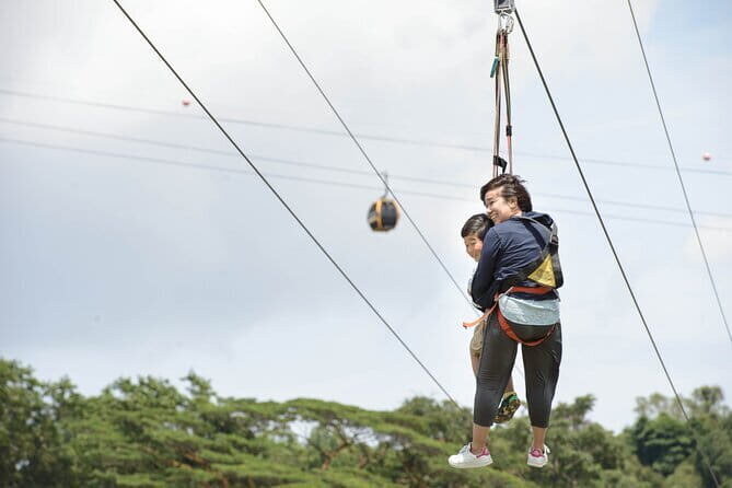 MegaZip Tandem at Mega Adventure - Who Will Love This Experience?
