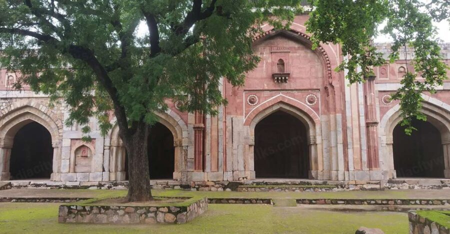 Mehrauli Archaeological Park Walk - An In-Depth Look at the Mehrauli Archaeological Park Walk