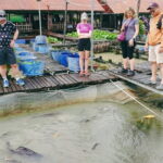 Mekong 2-Day Tour Floating Market-Bird Sanctuary-Flower Village - A Detailed Look at What You’ll Encounter