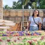 Mekong Delta 2 Days 1 Night - Shared Tour - A Detailed Look at the Tour Experience