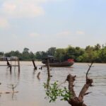 Mekong Delta tour 3 days by speedboat - Day Two: From the Island to Cai Be and Cho Lach