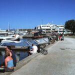 Melbourne City and Williamstown Ferry Cruise - Authentic Experiences From Travelers