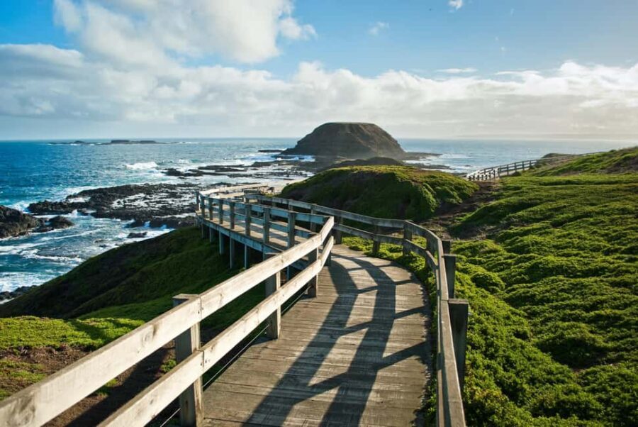 Melbourne: Coastal View & Phillip Isand Penguin Parade Tour - The Experience’s Strengths and Possible Drawbacks