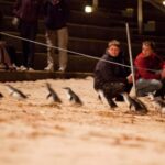 Melbourne Essentials: City, Penguins and Great Ocean Road - Final Thoughts