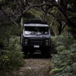 Melbourne: French and Phillip Island Wildlife Expedition - Transportation, Timing, and Group Size