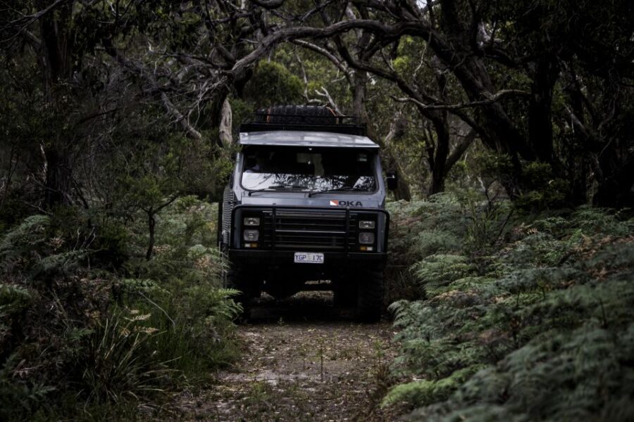 Melbourne: French and Phillip Island Wildlife Expedition - Transportation, Timing, and Group Size