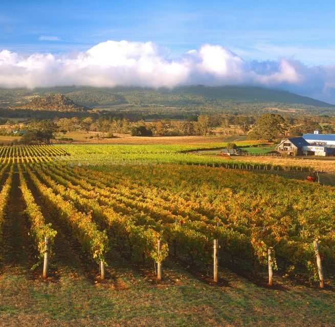 Melbourne: Full-Day Horses, Wine, and Beer Tour - Beer Tasting at a Classic Aussie Pub