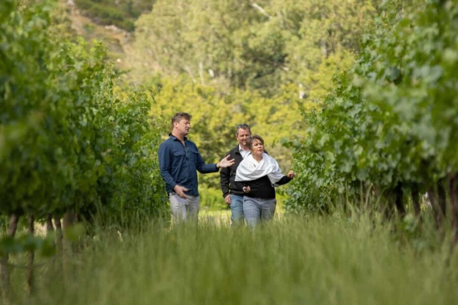 Melbourne: Full-Day Winemaker-Led Wine Tasting Tour - Who Is This Tour Best Suited For?