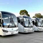 Melbourne Great Ocean Road Benz SmallGroup&LuxCoach BigGroup - Itinerary Breakdown: What You Can Expect