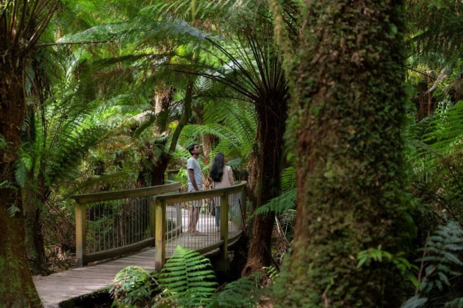 Melbourne: Great Ocean Road & Rainforest Trip - Why Travelers Love It