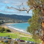 Melbourne: Great Ocean Road to 12 Apostles via the Coastline - The Highlights of the Tour