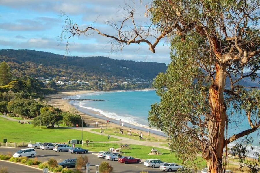 Melbourne: Great Ocean Road to 12 Apostles via the Coastline - The Highlights of the Tour