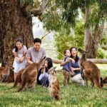 Melbourne Highlights & Aussie Wildlife Express Tour - Melbourne Laneways and Local Culture