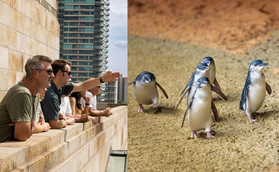 Melbourne Magic: City Highlights and Penguin Parade Tour - Authentic Traveler Experiences and Feedback