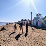 Melbourne: Moonlit Sanctuary and Brighton Beach Boxes Tour - Detailed Breakdown of the Itinerary