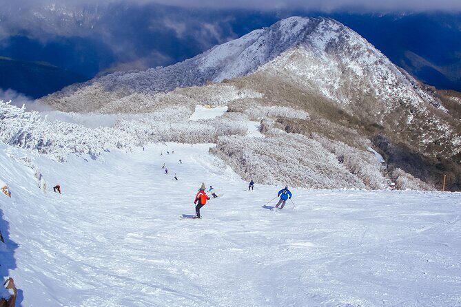 Melbourne: Mt Buller Snow Getaway Day Trip (6 Hours Fun on Snow) - FAQ