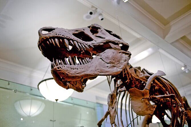 Melbourne Museum Entry Ticket - Authentic Feedback and Insights
