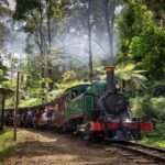 Melbourne: Penguin Parade Tour with Puffing Billy Train Ride - Practical Aspects: Transportation, Duration, and Value