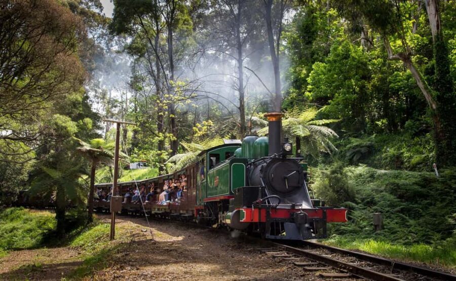 Melbourne: Penguin Parade Tour with Puffing Billy Train Ride - Practical Aspects: Transportation, Duration, and Value