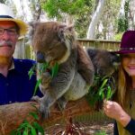 Melbourne Penguin Tour & Wildlife kangaroos koala Emu Tasi Devil - What Makes This Tour Stand Out?