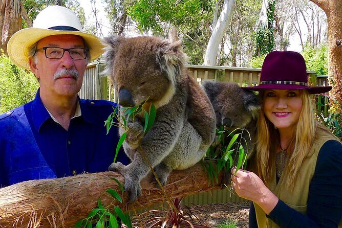 Melbourne Penguin Tour & Wildlife kangaroos koala Emu Tasi Devil - What Makes This Tour Stand Out?