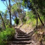 Melbourne: Peninsula Nature Private Day Trip with Dinner - In-Depth Tour Review