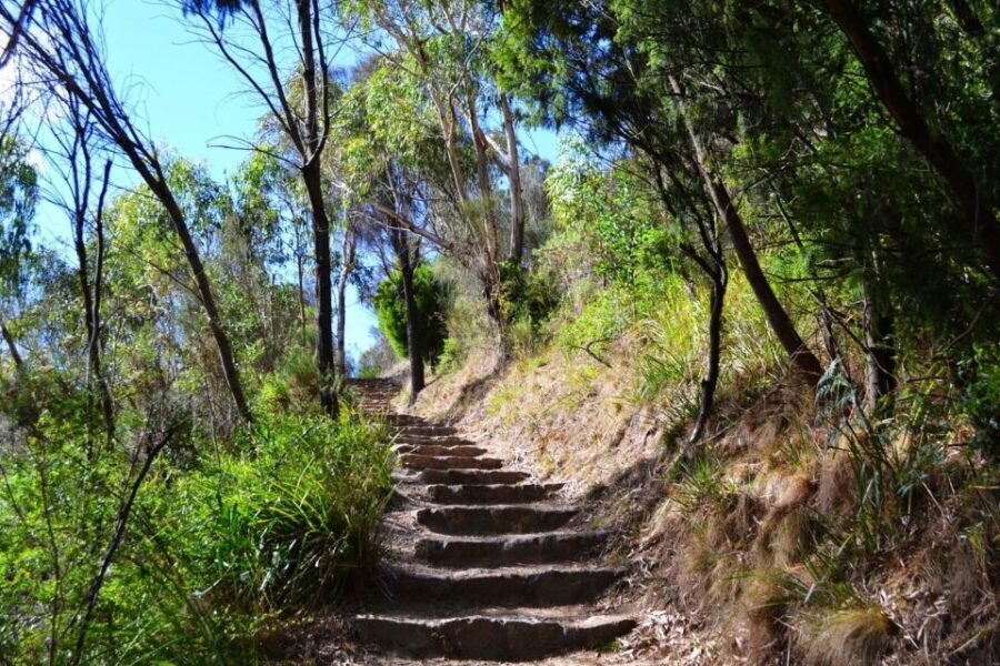 Melbourne: Peninsula Nature Private Day Trip with Dinner - In-Depth Tour Review