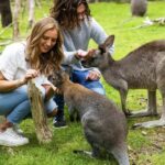 Melbourne: Phillip Island Private Tour with Penguin Parade - What Makes This Tour Stand Out?