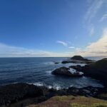 Melbourne: Phillip Island Private Trip with Penguin Parade - Evaluating the Value