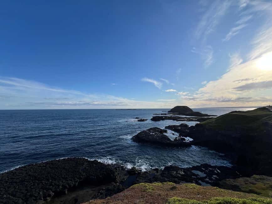 Melbourne: Phillip Island Private Trip with Penguin Parade - Evaluating the Value