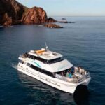 Melbourne: Phillip Island Tour w/ Hop-on Bus or Seal Cruise - What Travelers Say: Authentic Perspectives and Practical Tips