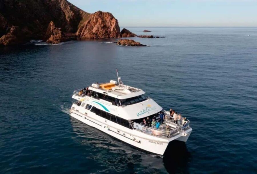 Melbourne: Phillip Island Tour w/ Hop-on Bus or Seal Cruise - What Travelers Say: Authentic Perspectives and Practical Tips