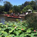 Melbourne Private Guided City Highlights Tour - Practical Tips for Travelers