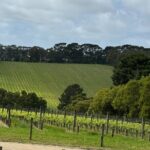 Melbourne: Private Mornington Peninsula & Winery Tours. - Transportation and logistics