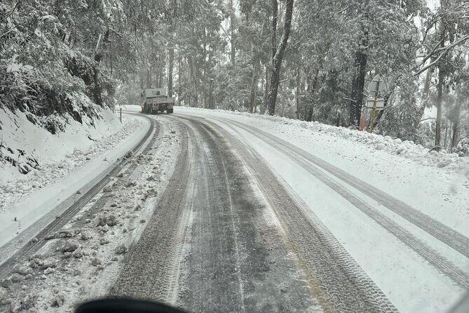 Melbourne: Private Mount Buller Snow and Ski Tours - Evaluating the Cost and Overall Value