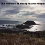 Melbourne: Private Phillip Island Penguin Parade Tour - The Highlights and What They Mean for You