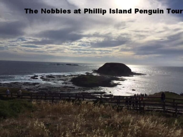 Melbourne: Private Phillip Island Penguin Parade Tour - The Highlights and What They Mean for You
