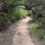 Melbourne: Private Wilson Promontory National Park Day Tours - Prom Wildlife Walk: Close Encounters with Native Animals