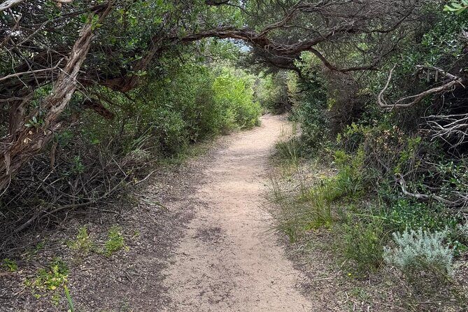 Melbourne: Private Wilson Promontory National Park Day Tours - Prom Wildlife Walk: Close Encounters with Native Animals