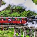 Melbourne: Puffing Billy & Healesville Sanctuary Scenic Tour - Details That Matter: Logistics & Value