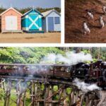 Melbourne: Puffing Billy Penguin Parade Brighton Boxes Tour - Practical Insights for Tour Participants