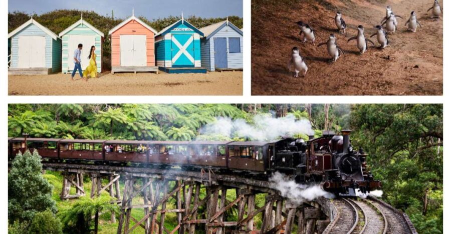 Melbourne: Puffing Billy Penguin Parade Brighton Boxes Tour - Practical Insights for Tour Participants