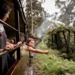 Melbourne: Puffing Billy Steam Train & Penguin Parade Tour - Value and Cost Analysis